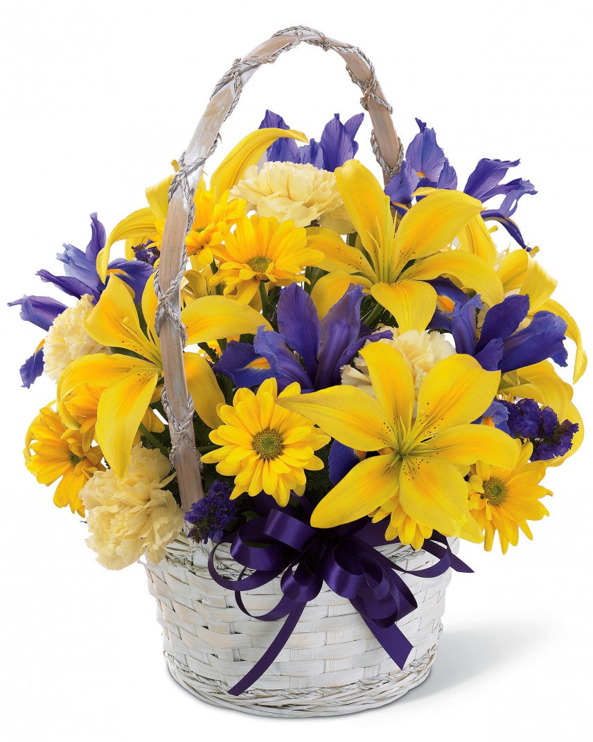 Order The Spirit of Spring Basket | Today Flower Delivery