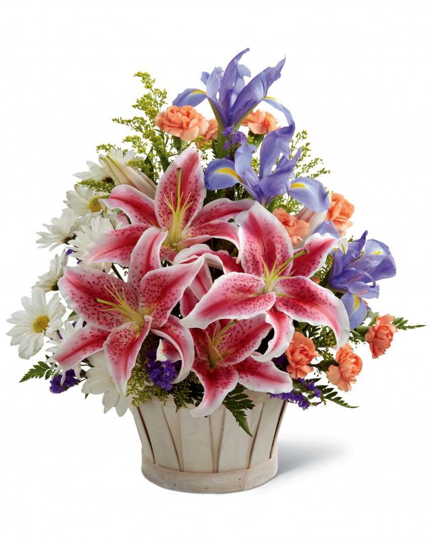 Buy The Wondrous Nature Bouquet | Today Flower Delivery